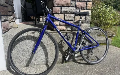 Bike Rentals Near Me