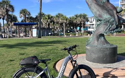 Bike Rentals Near Me